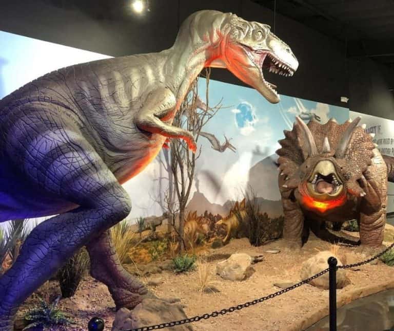 Weird Roadside Attractions to Visit on Your RV Travels